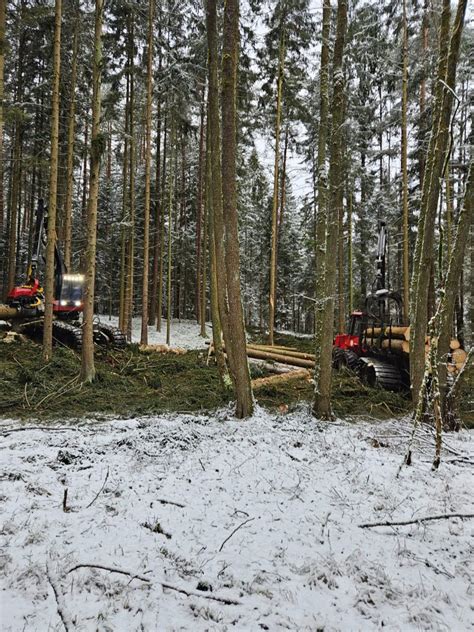 Matthias Kummer Bagger And Forstbetrieb Kohlberg