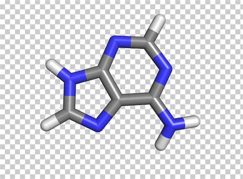 Base Pair Guanine Cytosine Gc Content Png Clipart Acid Angle Base Base Pair Blue Free Png