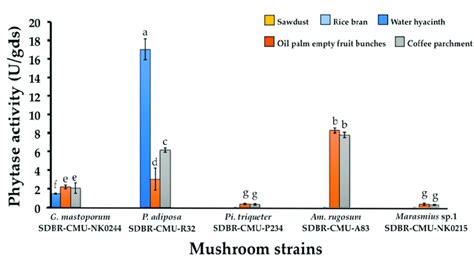 Phytase Production During Ssf Using Different Agricultural Residues By