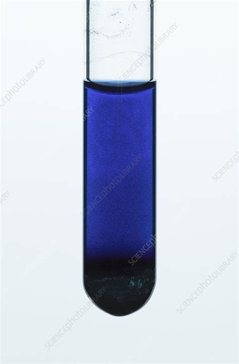 Ammonia Dissolves Copper Sulphide Stock Image C0363953 Science