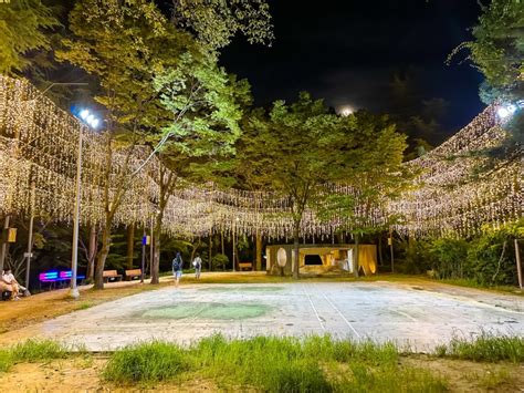 사직 빛의 숲 관광 정보와 주변 관광 명소 및 근처 맛집 여행 정보 사직 빛의 숲 관광 정보와 주변 관광 명소 및 근처 맛집 여행 정보