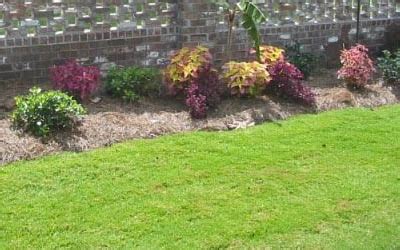 Lawn Landscaping Maintenance Jackson MS Area Ambiance Landscape