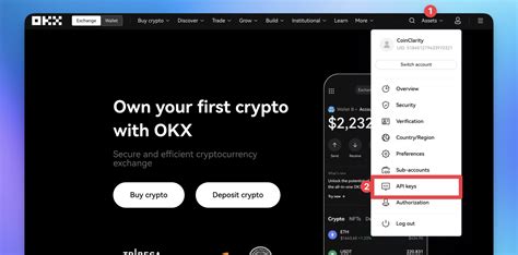 OKX API Integration Developers Guide Coin Clarity