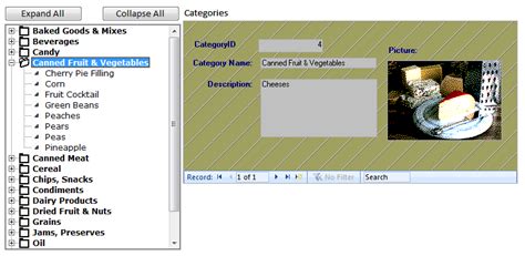 Microsoft TreeView Control Tutorial LEARN MS ACCESS TIPS AND TRICKS