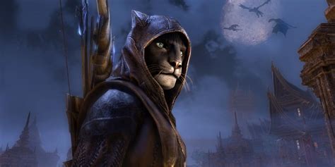 Skyrims Most Disturbing Khajiit Lore The Fur Trader