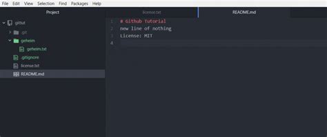 Git And Github Anfänger Tutorial