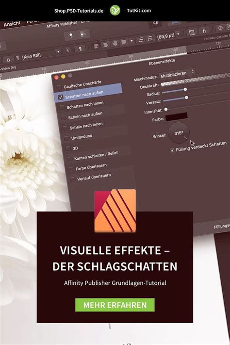 Affinity Publisher Tutorials Scalehooli