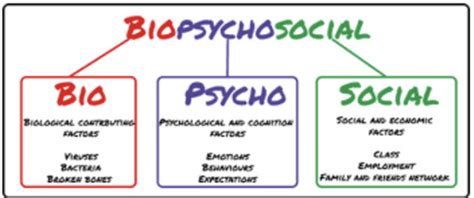 Social Model Of Health 1 2 Flashcards Quizlet