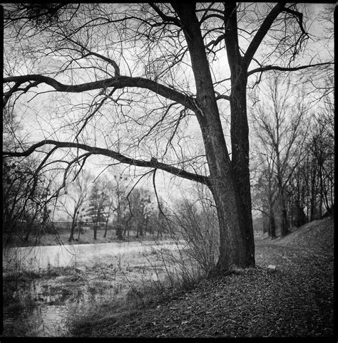 yesterday — abik · lomography