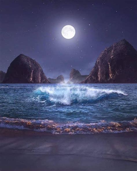 ปกพนโดย Cara Blanton ใน Nature Photo Art ในป 2024