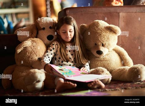 The Story Teddy