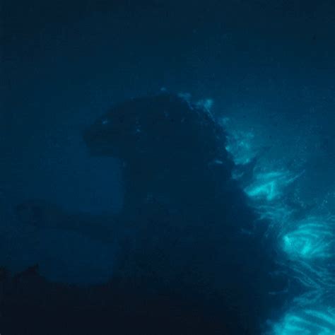 Godzilla Vs Kong S