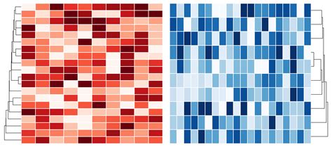 Two Heatmaps — Marsilea 0 5 3 Documentation