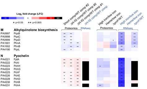 Proteins Involved In Alkylquinolone Biosynthesis And Pyochelin