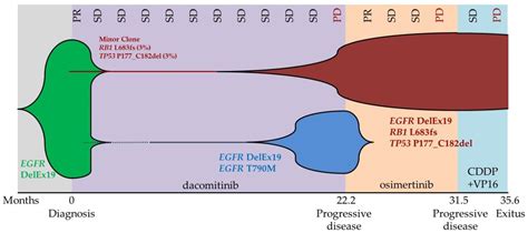 Diagnostics Free Full Text Utility Of Next Generation Sequencing In