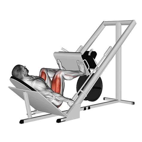 Leg Press Wide Stance Smartworkout