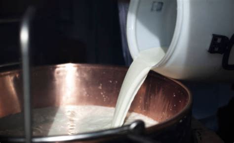 Manfaat Susu Kambing Notordinaryblogger