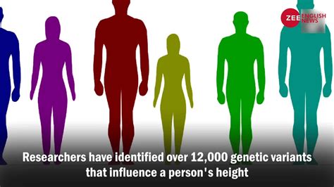 Large Scale Dna Study Reveals Genetic Links To Height Zee News