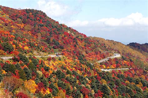 【季節】紅葉コース 福島市 福島貸切辰巳屋タクシー