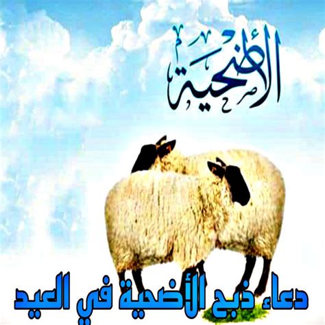 دعاء ذبح الأضحية في العيد المبارك Single By أدعية مستجابة وذكر حكيم