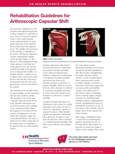 Rehabilitation Guidelines For Arthroscopic Capsular Shift Back View