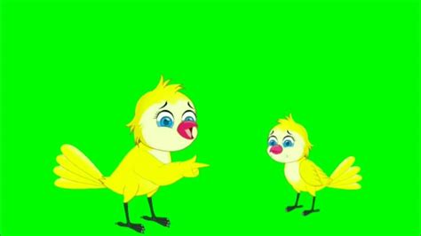 No Copyright Green Screen Cartoon Bird 3 Pose Cartoon Bird Green