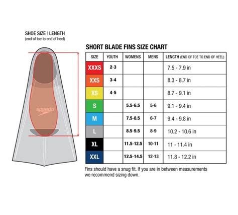 Speedo Usa Size Chart Atelier Yuwaciaojp