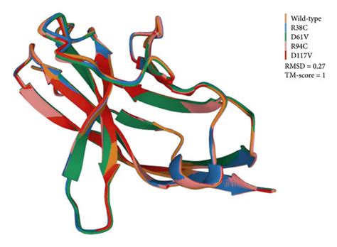 Structural Superimposition Of The Wild Type Pd 1 Together With The Top