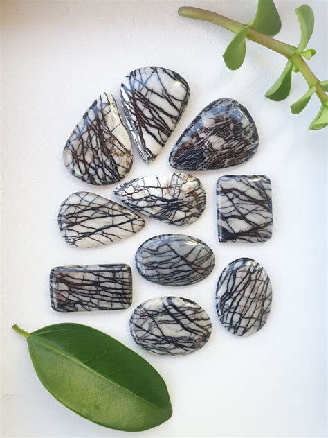 Spider Jasper Cabochons Smooth Spider Jasper Gemstones Lot Etsy