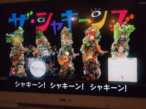 シャキーンザナイト Luv Labo