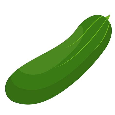 Premium Vector Green Cucumber Vegetables Food Salad Agriculture Farm
