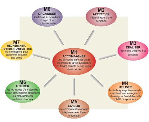 Exemple Msp Aide Soignante Module Le Meilleur Exemp Vrogue Co