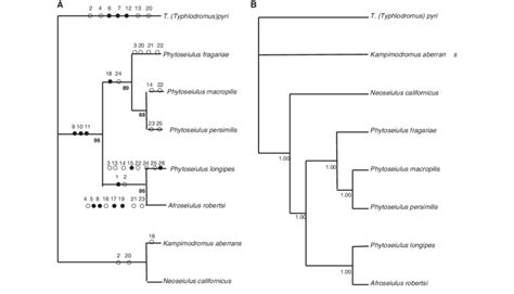 majority rule consensus trees obtained after parsimony analysis a