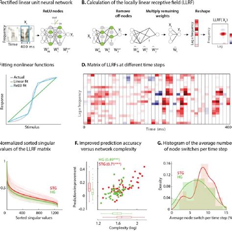 Calculating The Stimulus Dependent Linearized Spectrotemporal Receptive Download Scientific