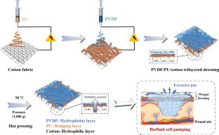 Advanced Fiber Materials X Mol