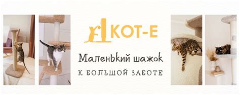 "КОТ-Е" Когтеточки Екатеринбург | ЗАКАЗ НА САЙТЕ https://kot-e.ru/ МЫ ...