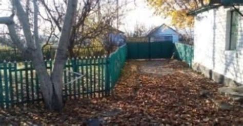 В семейството на съпруга ми петък е времето да се отиде на вилата В четвъртък вечерта свекърва