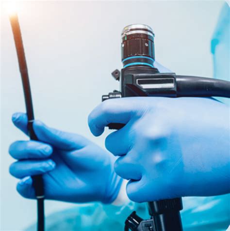 2025 Txieg Nurse And Tech Endoscopy Hands On Workshop Txieg