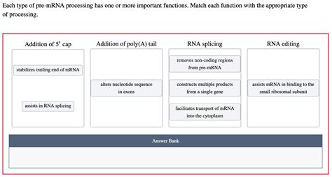 Solved Each Type Of Pre Mrna Processing Has One Or More