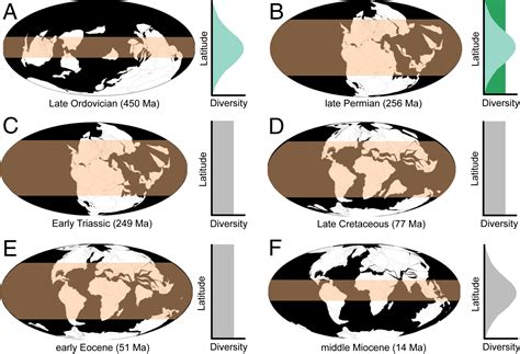 A Deep Time Perspective On The Latitudinal Diversity Gradient Pnas
