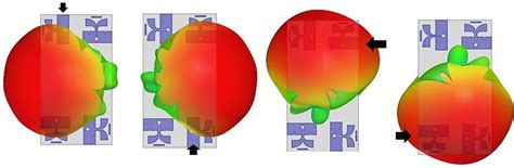 Figure 14 From Design A Mimo Printed Dipole Antenna For 5g Sub Band