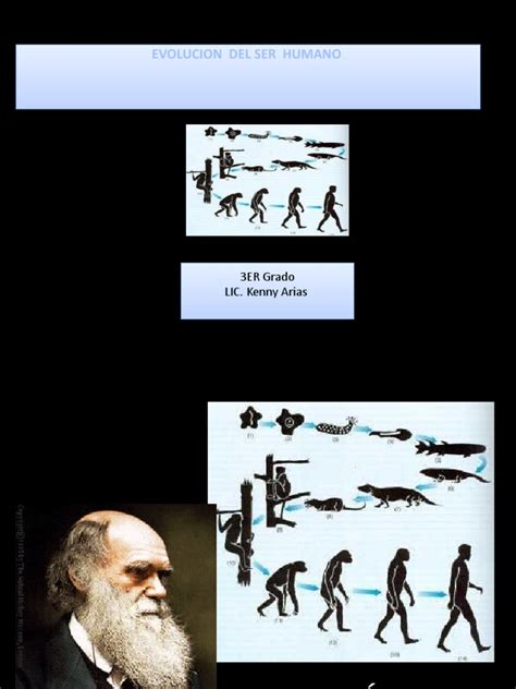 Teorias De La Evolucion 3ro Pdf Evolución Homo