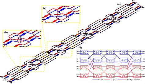 A 3d Schematic Of Two Layer Benes Network B Interlayer Couplers