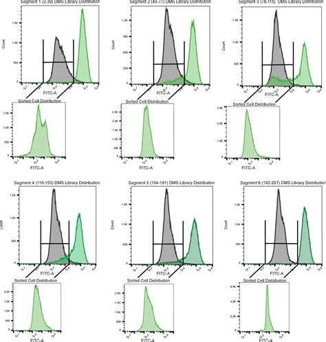 Figures And Data In A Parameterized Two Domain Thermodynamic Model Explains Diverse Mutational