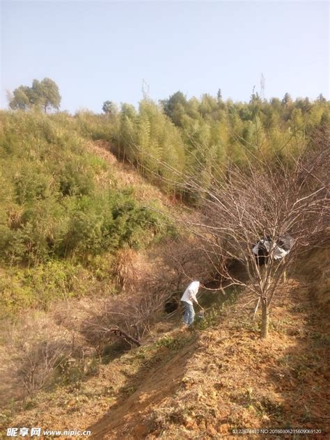 李子园摄影图山水风景自然景观摄影图库昵图网
