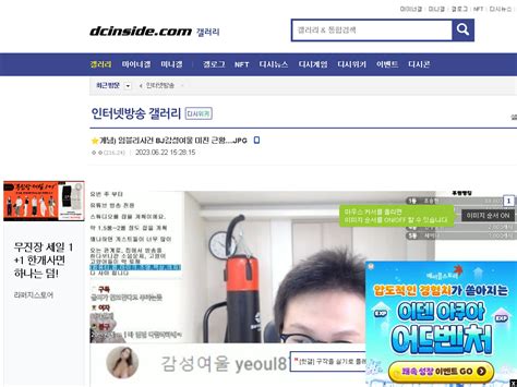 개념 임블리사건 BJ감성여울 미친 근황 인터넷방송 갤러리
