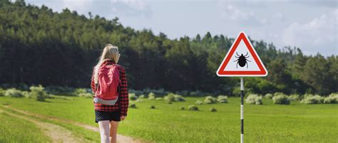 Lyme Disease How To Avoid Tick Bites Elna Médical
