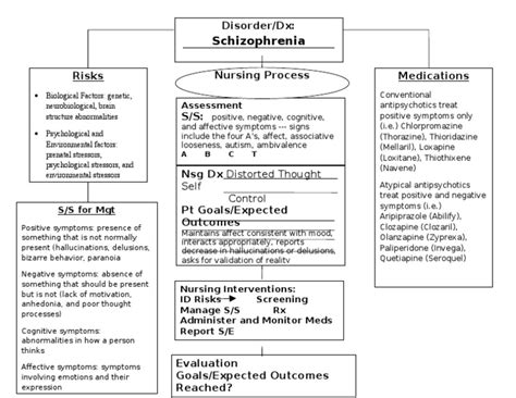 Schizophrenia System Disorder Template