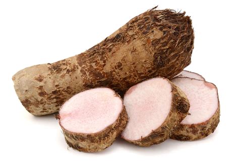 Malanga Lila