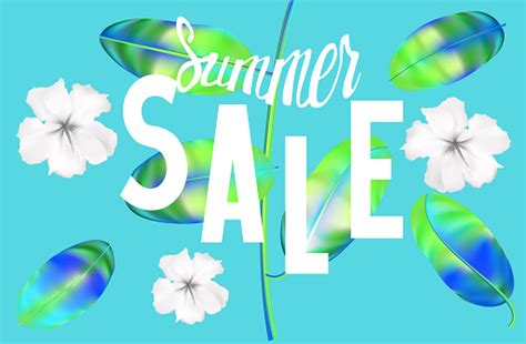 열 대 잎 여름 판매 배너입니다 열 대 잎 벡터 Illustrationsummer 판매 배너입니다 벡터 일러스트 0명에 대한